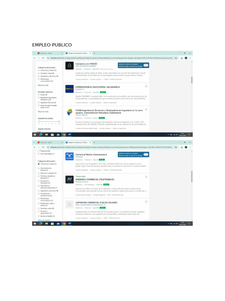 Definición de Empleo Público | PDF