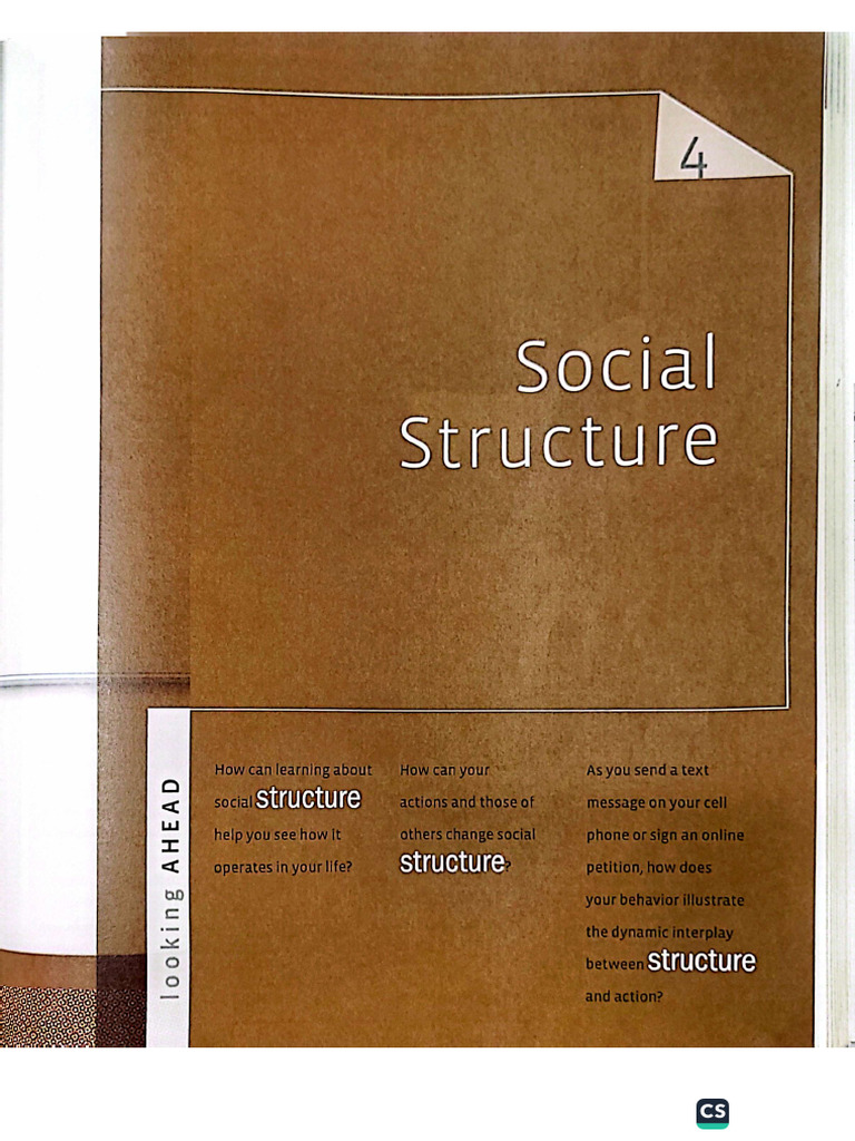 Social Structure | PDF