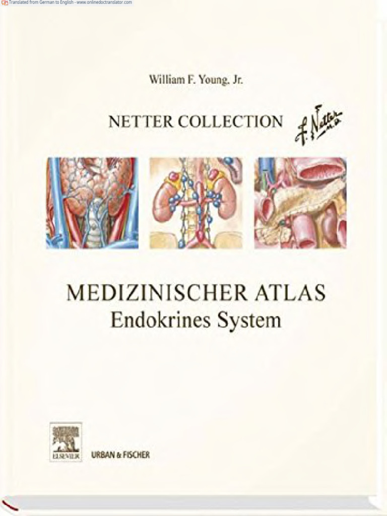 WILLIAM F YOUNG Netter Collection Medical Atlas Endocrine System | PDF ...