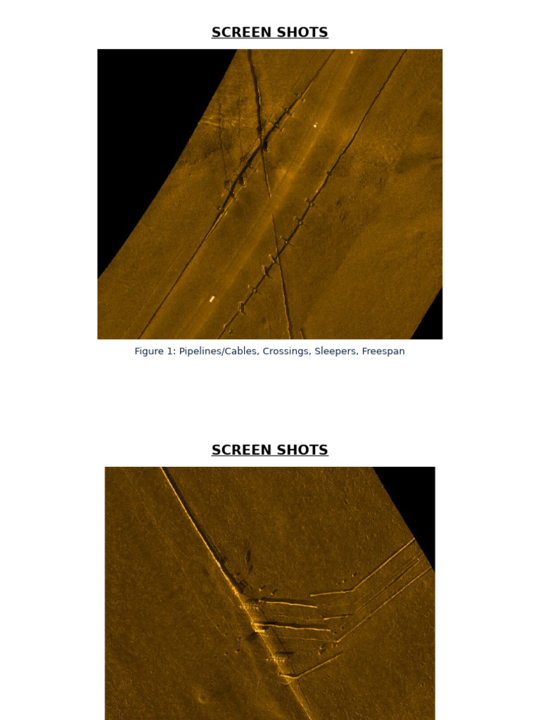 SSS Mosaic Sample Capture | PDF
