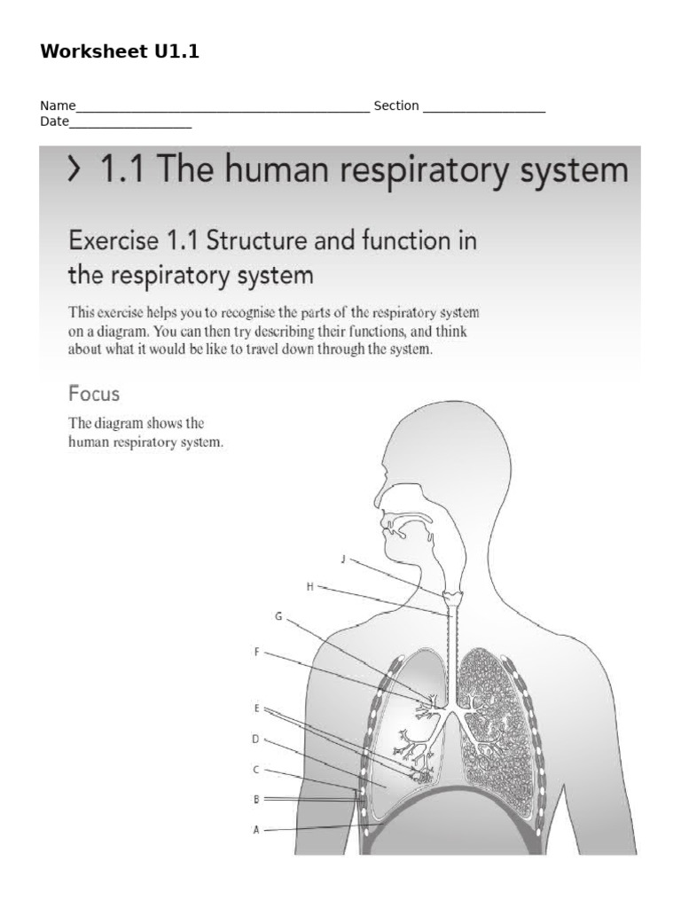 7th U1.1 Workbook | PDF