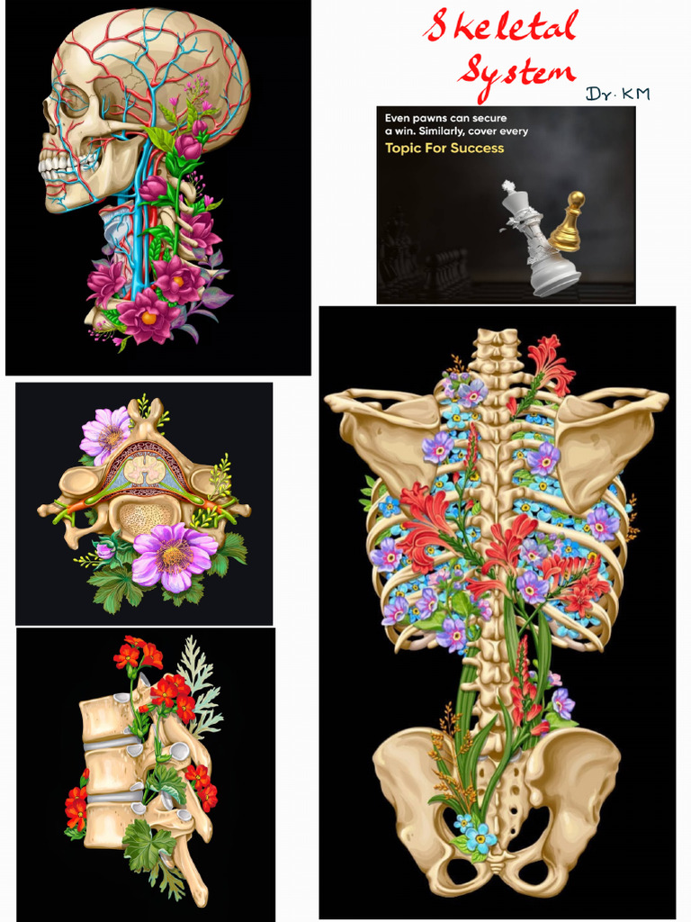 78930490-4b94-4ec0-b436-8df18651b9cd | PDF | Skull | Skeleton