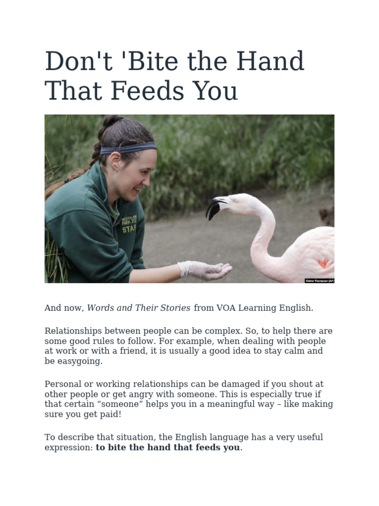 Don't Bite the Hand That Feeds You | PDF
