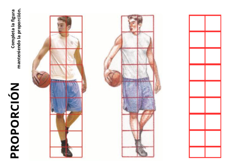Proporción | PDF