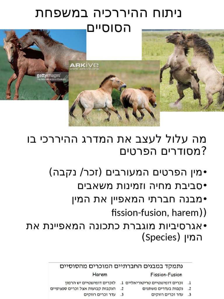 Ex3 What Is Davids Score | PDF