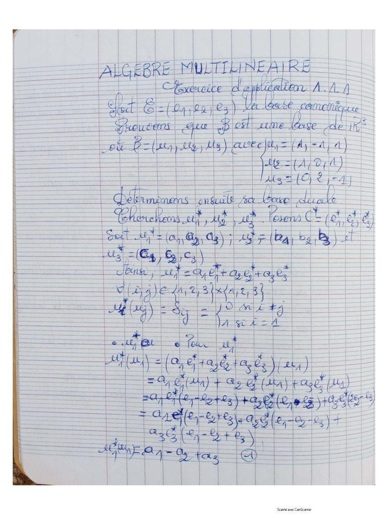 Algèbre Multilineaire MI2 2024 | PDF