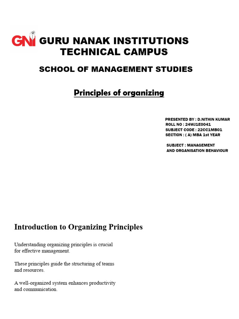 Organizing Principles for Effective Management | PDF