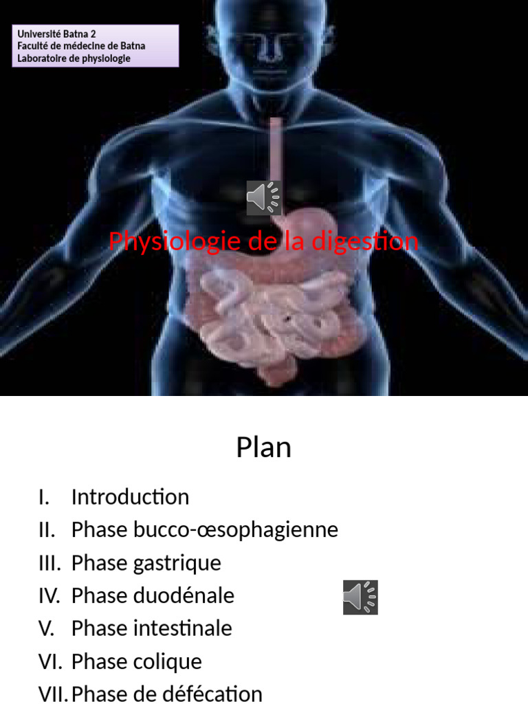 Physiologie de La Digestion Digestif Audio | PDF | Estomac | Appareil ...