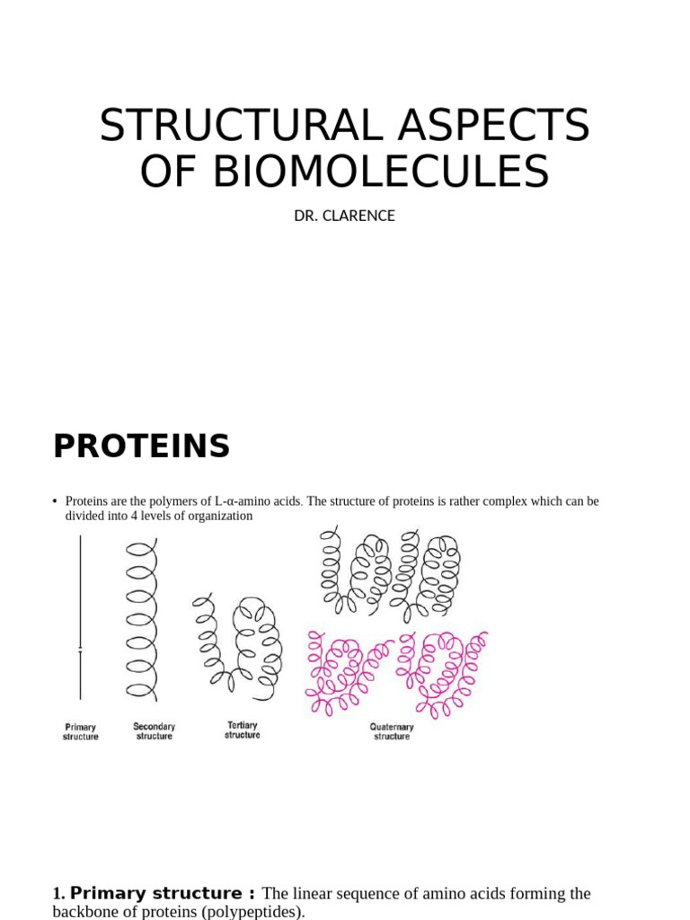 Structural Aspects of Biomolecules | PDF | Protein Structure | Polysaccharide