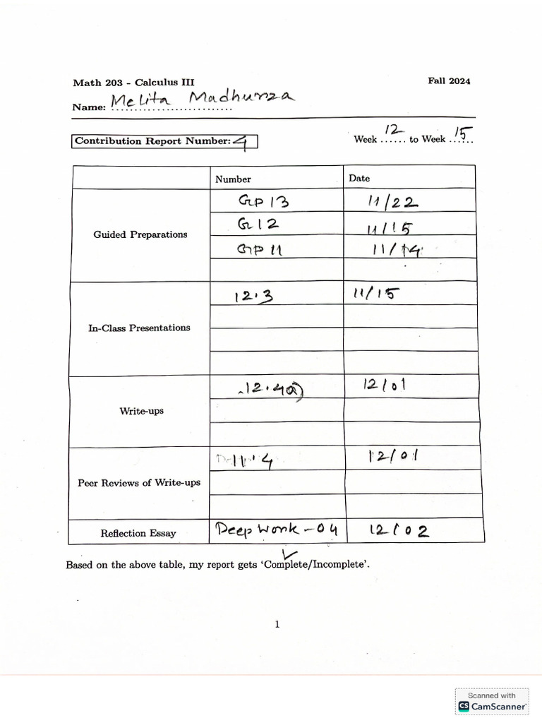 Calc 3 Contribution Report 4 | PDF