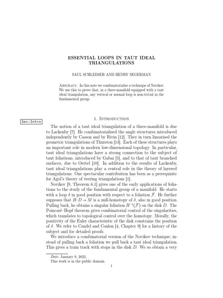 Loops in Taut | PDF | Tetrahedron | Mathematical Physics