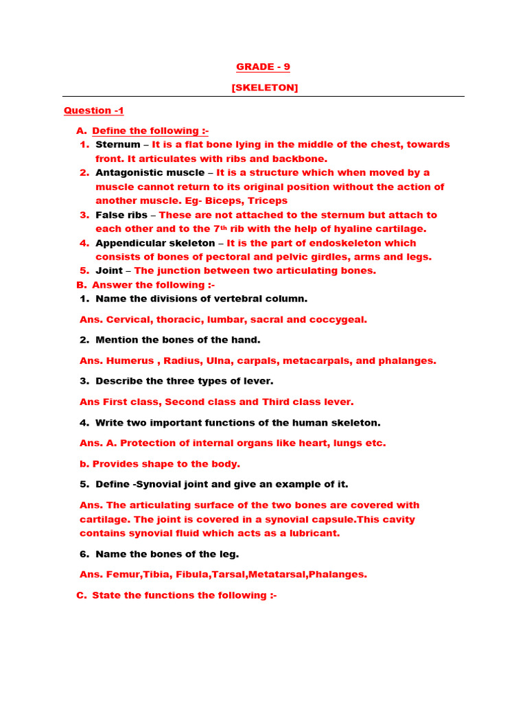 07112024091547SKeleton - SUBJECTIVE - Answer Key | PDF | Pelvis | Skeleton