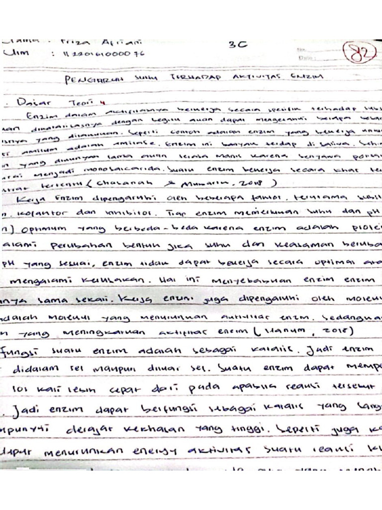 76 - Friza Afriani | PDF