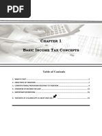Public Finance n5 Guide-1 | PDF | Taxes | Budget