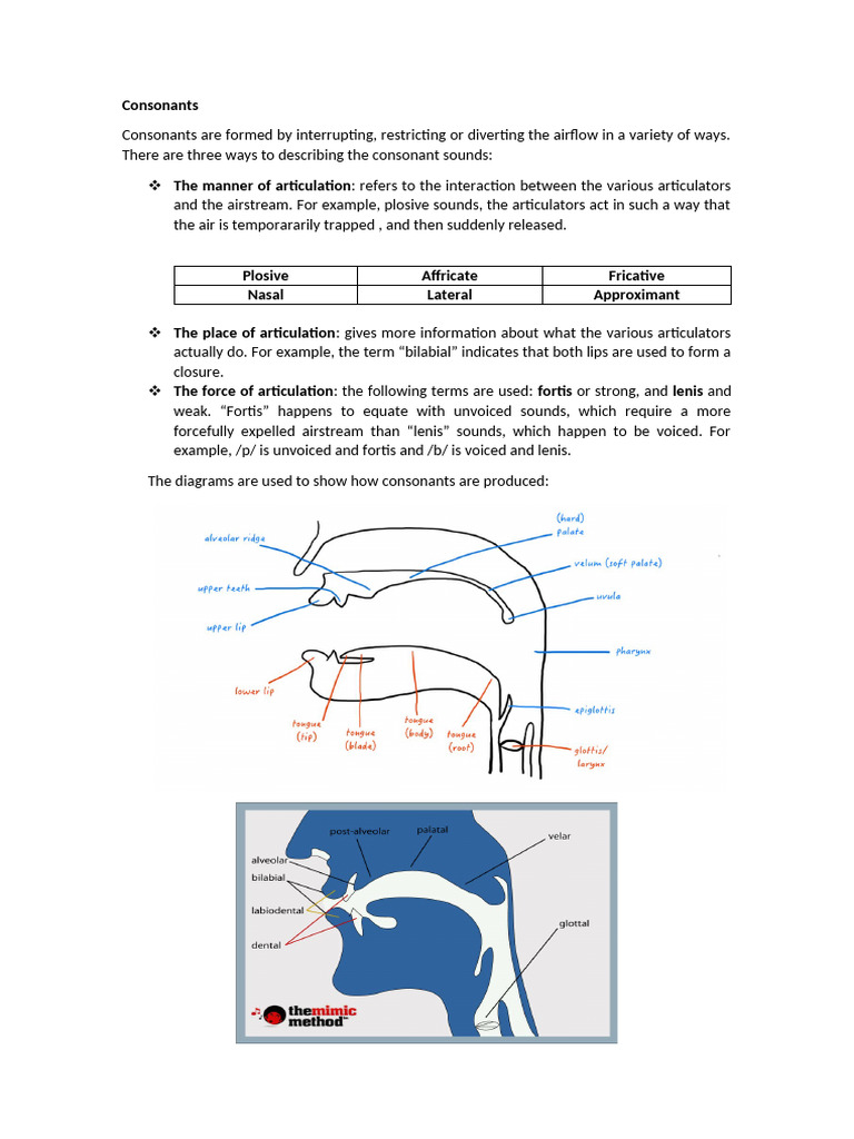 Fonetica Pdf Linguistics Phonetics