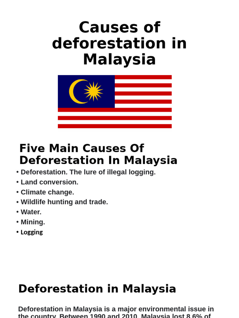 Main Causes of Deforestation in Malaysia | PDF | Deforestation | Malaysia