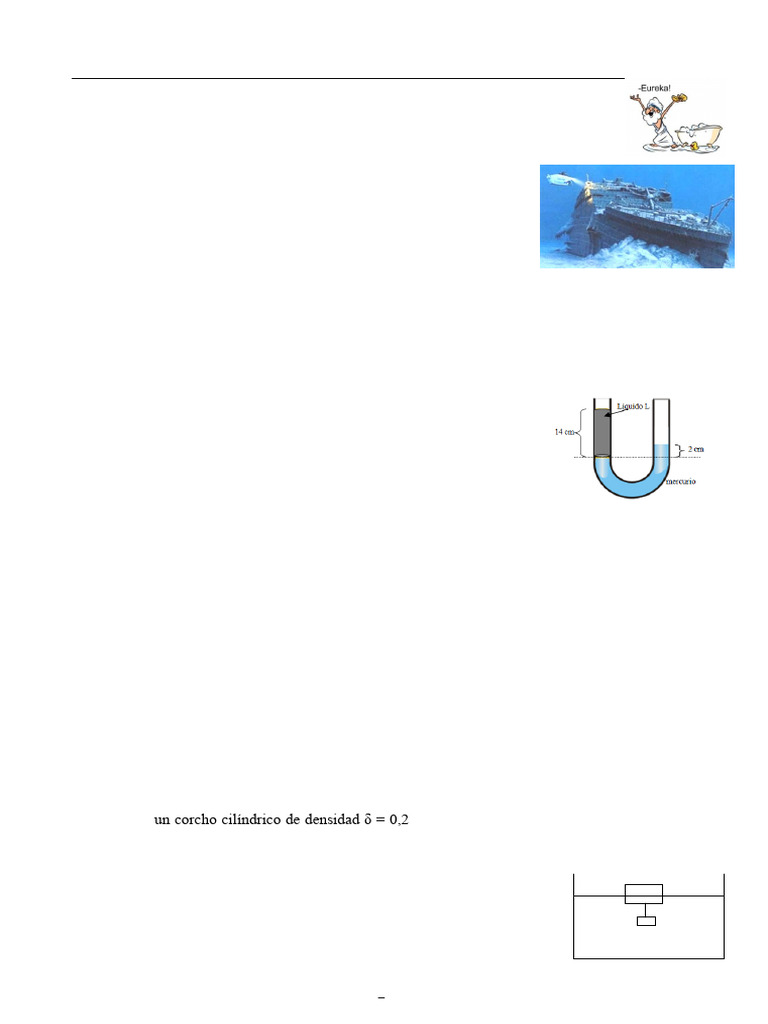 tp02 FISICA2 | PDF | Agua | Densidad