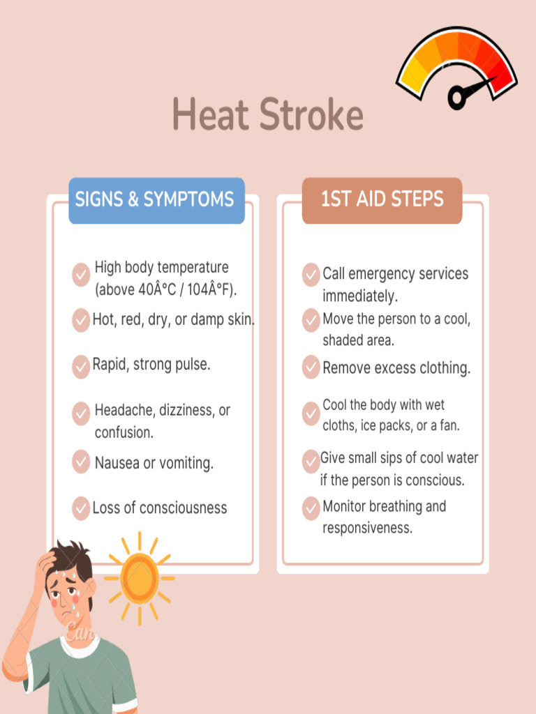 Heat Stroke | PDF