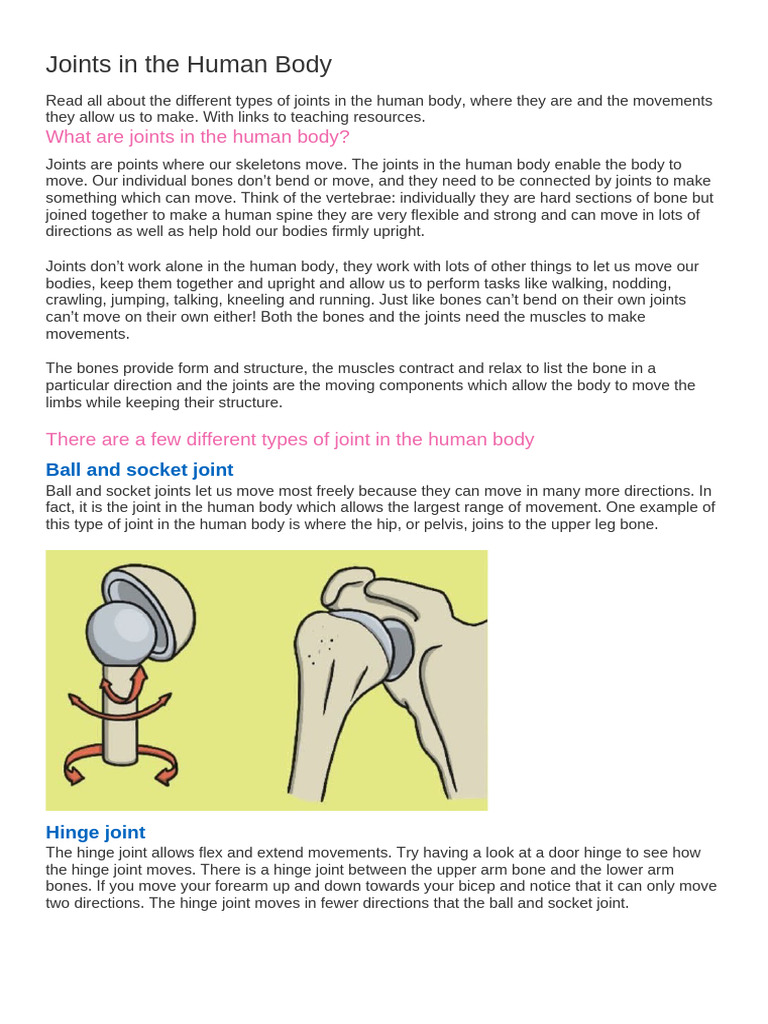 Types of Joints in the Human Body | PDF | Anatomical Terms Of Motion | Knee