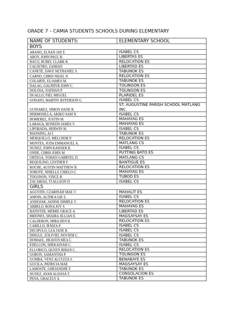 7-Camia Schools During Elem (2024-2025) Final | PDF