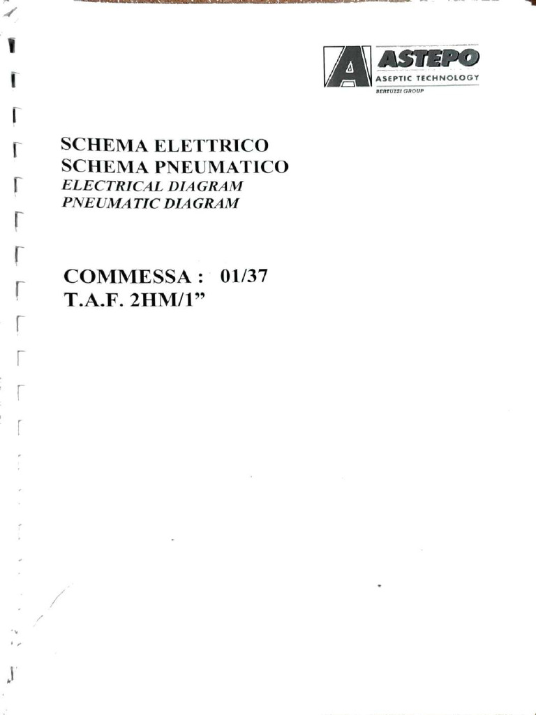 LLENADORA ASTEPO PE Y PN_compressed | PDF