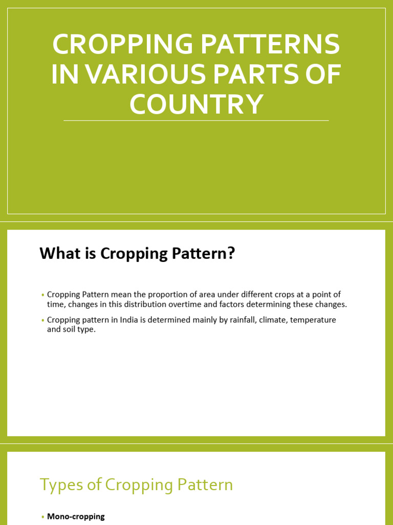 Cropping Patterns in India Explained | PDF | Crop Rotation | Crops