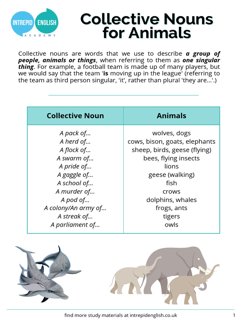Collective Nouns and Animal Sounds | PDF | Zoology