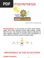 Photosynthesis Class 11 Biology NCERT | PDF | Photosynthesis | Chloroplast