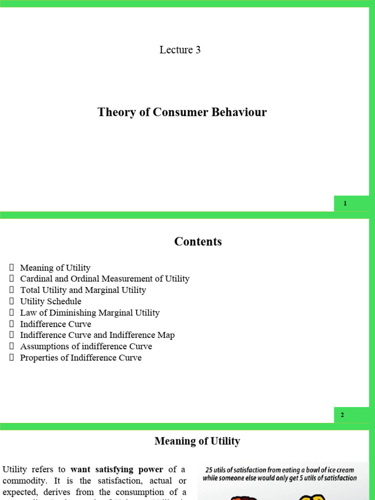 Consumer of Behaviour Slide | PDF | Utility | Consumers