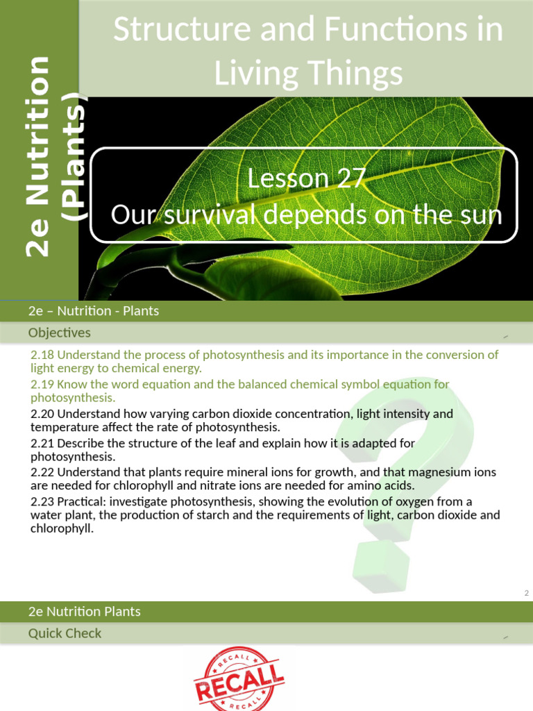 L27 Photosynthesis LMcD | PDF | Photosynthesis | Leaf