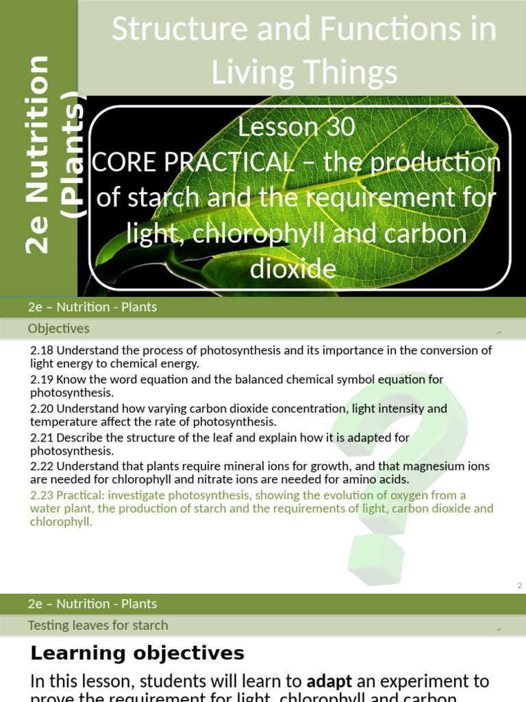 Lesson 30 Starch Tests | PDF | Photosynthesis | Starch