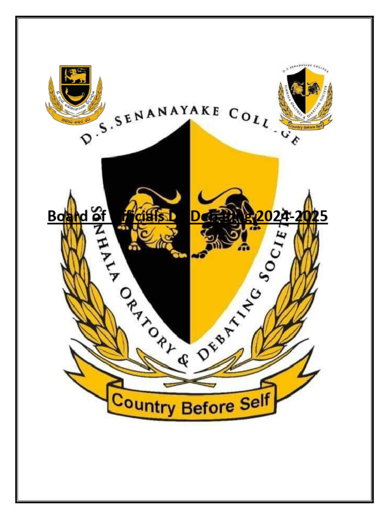 2024-2025 DS Debating Board Overview | PDF