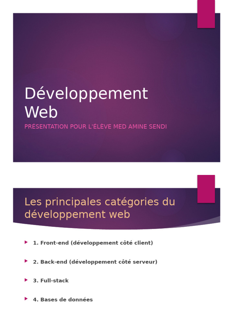 Présentation du Développement Web | PDF