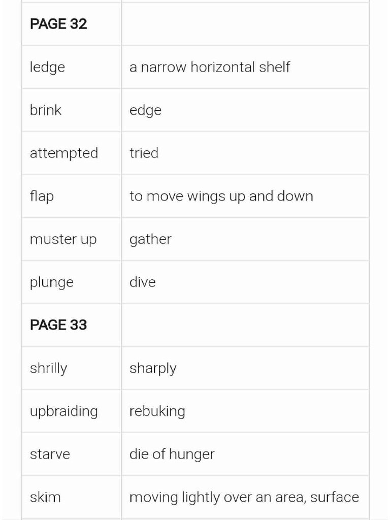 His First Flight | PDF