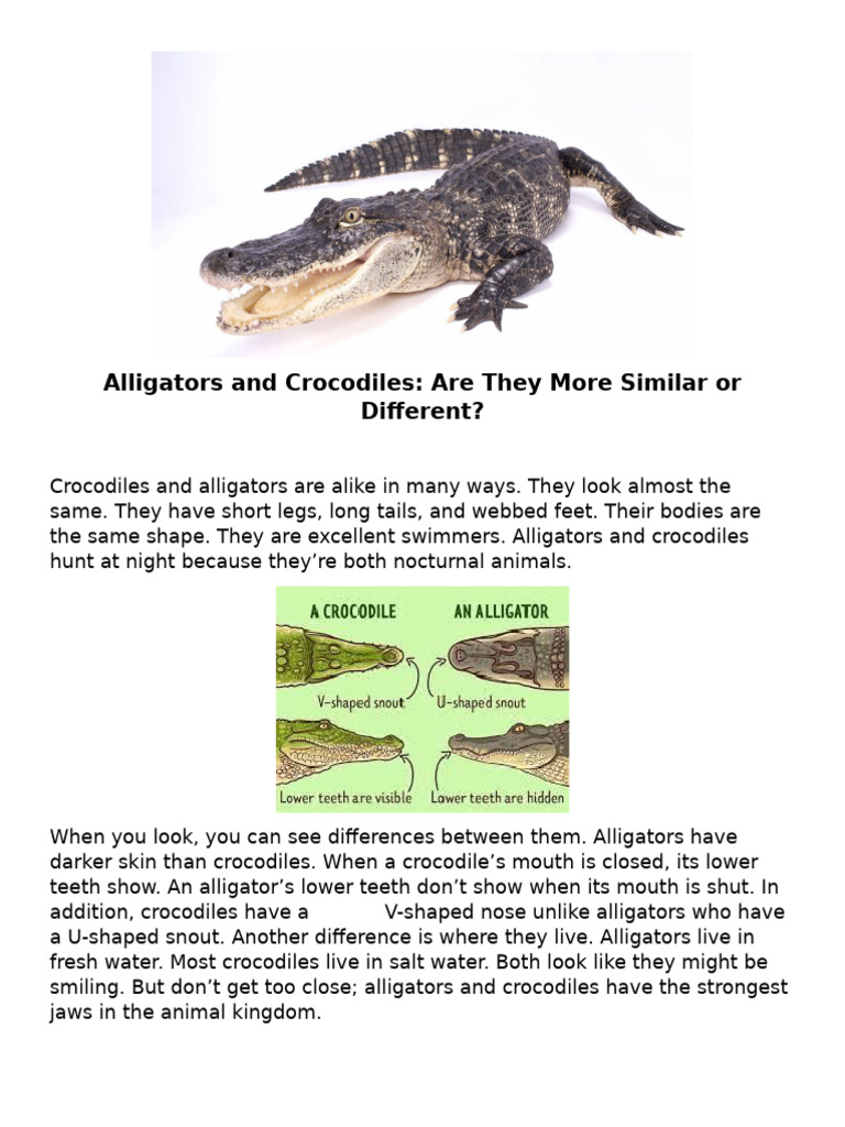 compare and contrast alligators | PDF