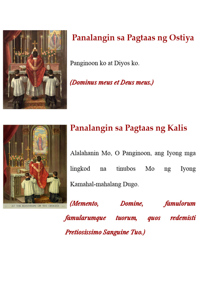 PRAYERS DURING THE ELEVATION OF BLESSED HOST AND CHALICE | PDF