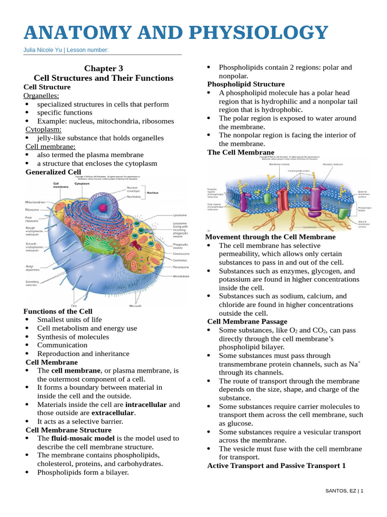 Anatomy and Physiology Handout 3 | PDF | Cell Membrane | Rna