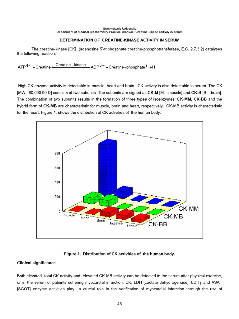 Serum Creatine-Kinase Activity Analysis | PDF | Biochemistry | Chemistry