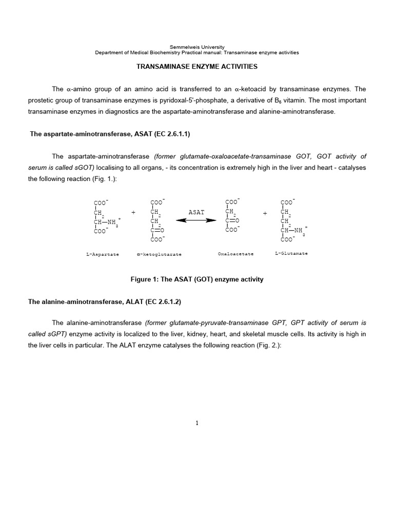 Determination of The Activity of Serum Transaminases | PDF | Alanine ...
