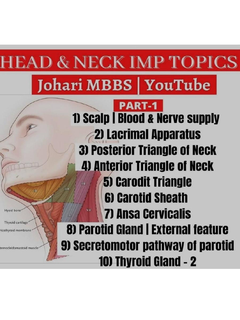Toaz - Info Head Amp Neck Anatomy Johari Mbbs PR | PDF