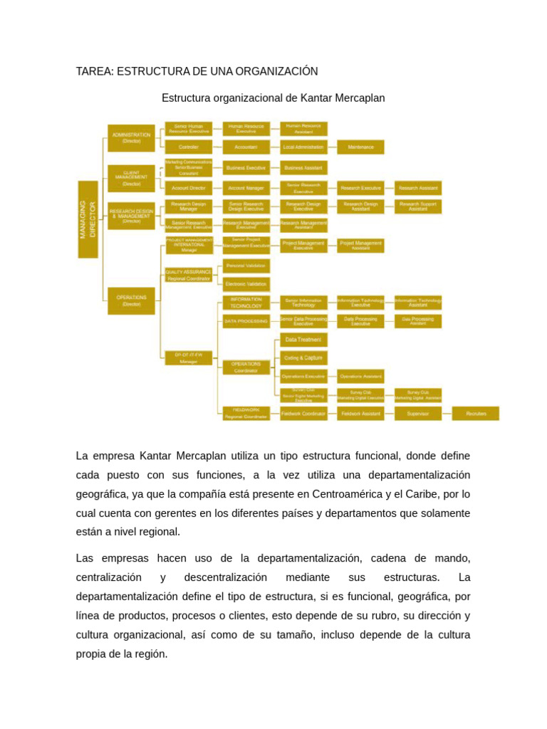 Tarea Estructura de Una Empresa | PDF