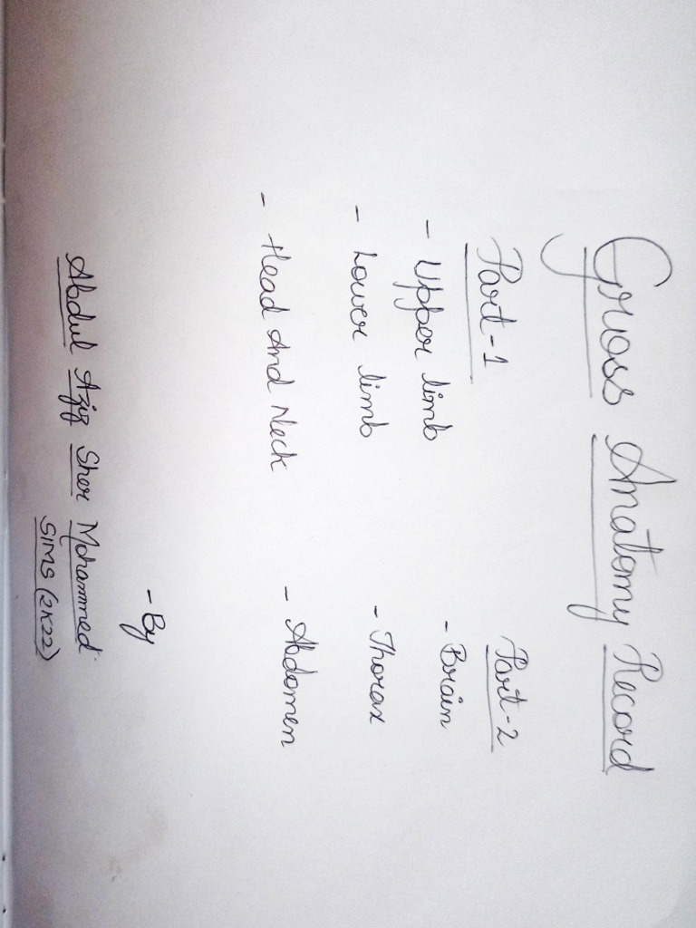 Gross Anat Record Part1 | PDF