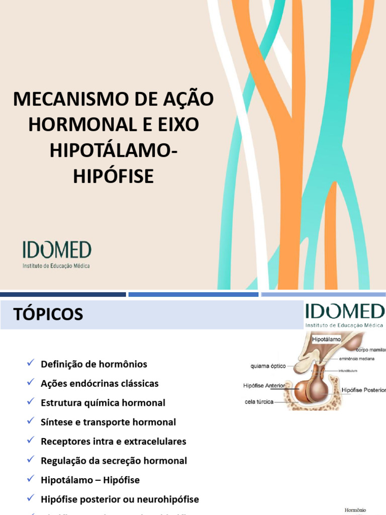 Horm Nios e Eixo Hipot Lamo Hip Fise 2025 | PDF | Glândula pituitária | Hipotálamo