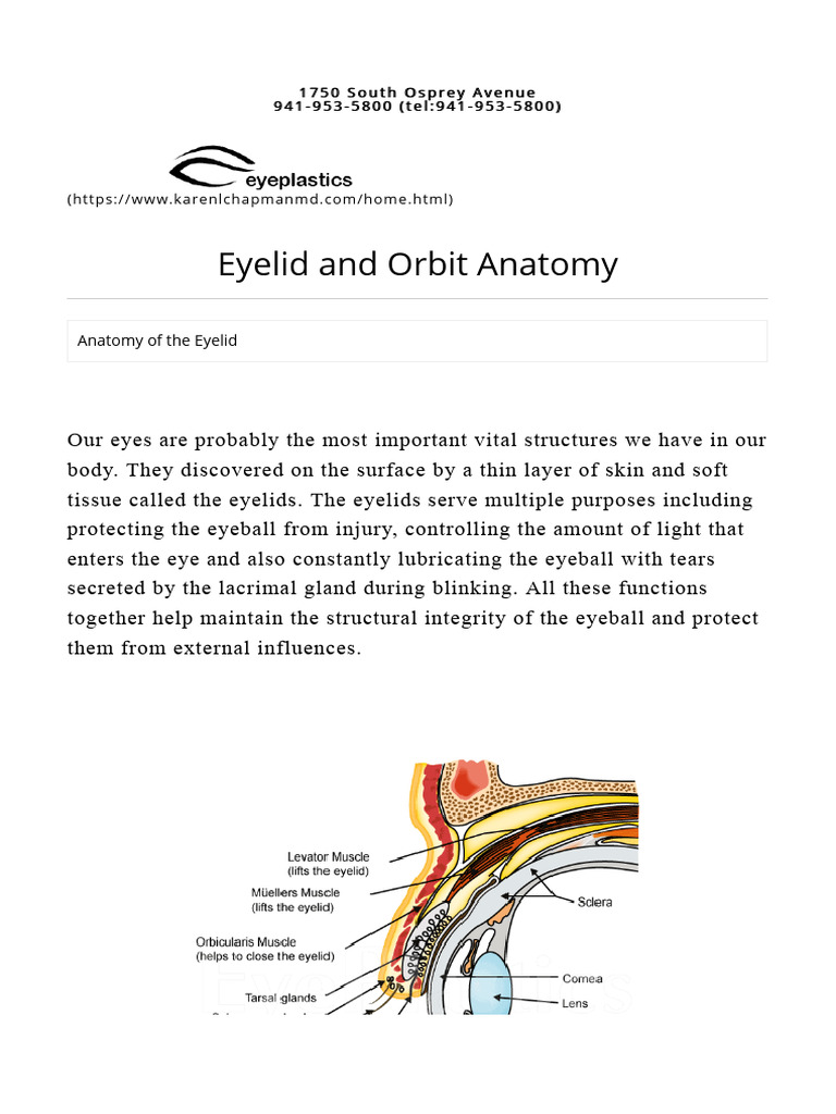 Karen L Chapman MD - Oculoplastics Sarasota Florida | PDF | Human ...