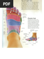 Reflexology Points Charts | PDF