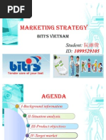 RPIE Model for Public Relations Planning | PDF | Target Audience ...