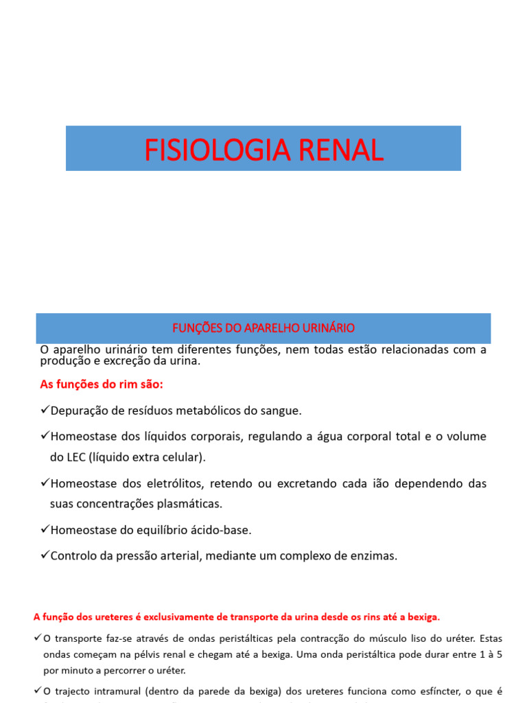 Fisiologia Renal | PDF | Micção | Rim