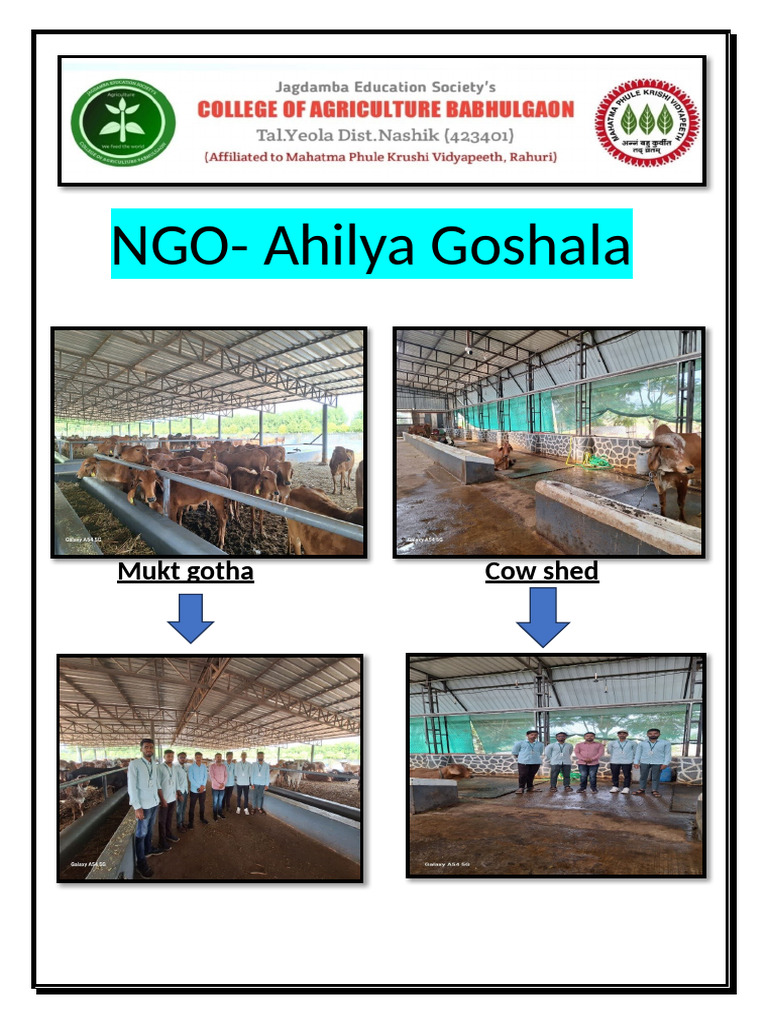 NGO-Ahilya Goshala: Mukt Gotha Cow Shed | PDF