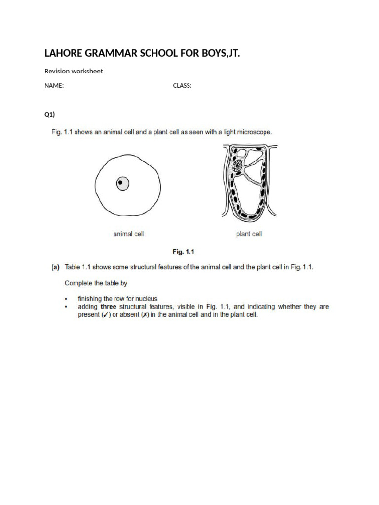 Revision Worksheet For Class 9 Bio | PDF