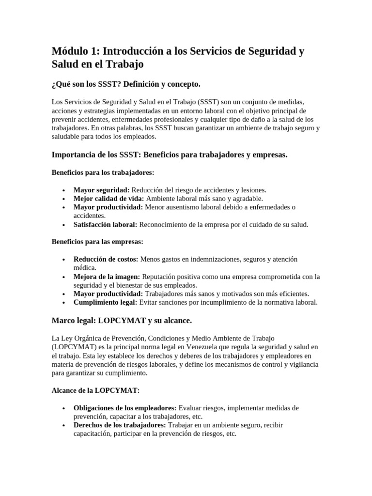Qué son los SSST y su importancia | PDF | Seguridad y salud ocupacional ...